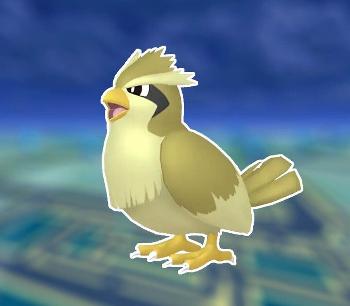 Pidgey Shiny em Pokémon vai?